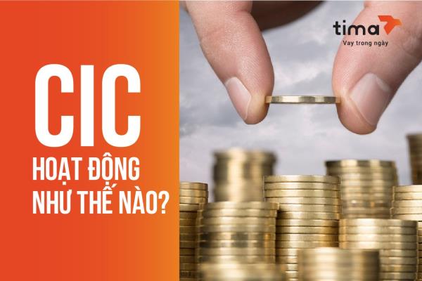 CIC là gì? Hoạt động ra sao và 5 bước kiểm tra CIC cá nhân